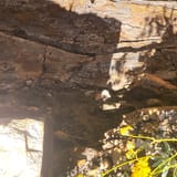 Dixie Mine Trail, Arizona - 154 Reviews, Map | AllTrails