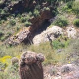 Dixie Mine Trail, Arizona - 154 Reviews, Map | AllTrails