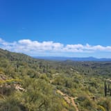 Dixie Mine Trail, Arizona - 147 Reviews, Map | AllTrails