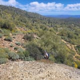 Dixie Mine Trail, Arizona - 147 Reviews, Map | AllTrails