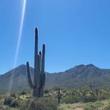 Dixie Mine Trail, Arizona - 147 Reviews, Map | AllTrails
