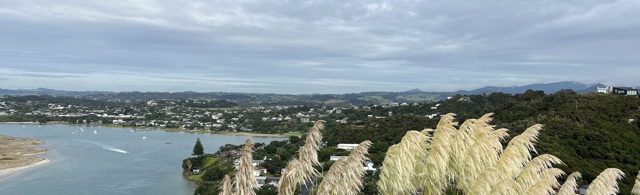 Mangawhai Heads Lookout Track, Northland, New Zealand - 17 Reviews, Map ...
