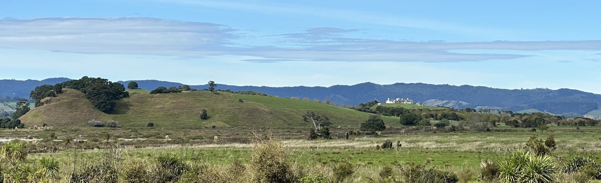 Duder Duck Bay Path, Auckland, New Zealand - 35 Reviews, Map | AllTrails