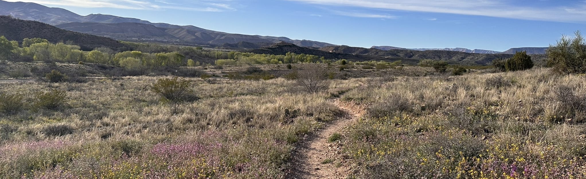 Raptor Hill and Coconino Trail Loop, Arizona - 229 Reviews, Map | AllTrails