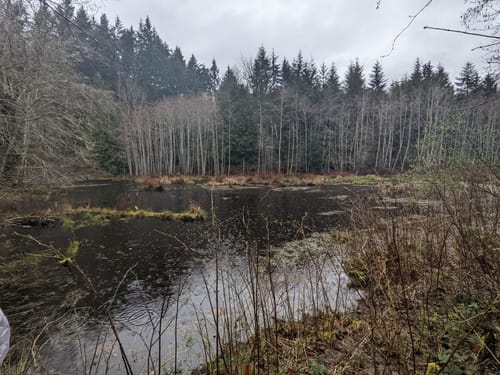 Best Hikes and Trails in Port Ludlow | AllTrails