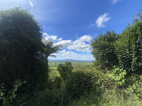 2023 Best Trail Running Trails in Te Awamutu | AllTrails