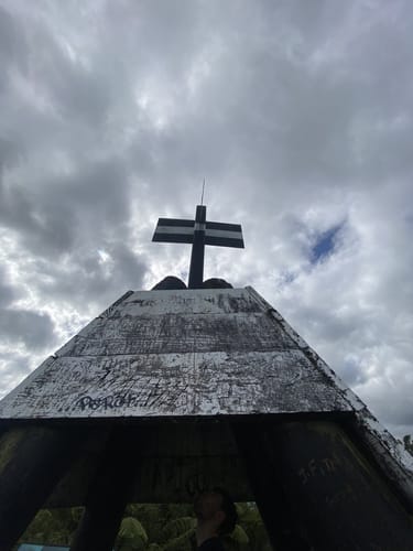 2023 Best Trail Running Trails in Te Awamutu | AllTrails