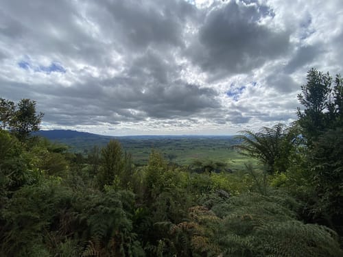 2023 Best Trail Running Trails in Te Awamutu | AllTrails