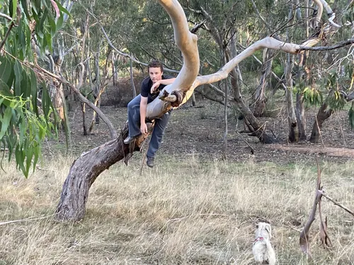 Best Walking Trails in Inverleigh | AllTrails