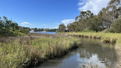 Best Hikes and Trails in Newlands Arm | AllTrails