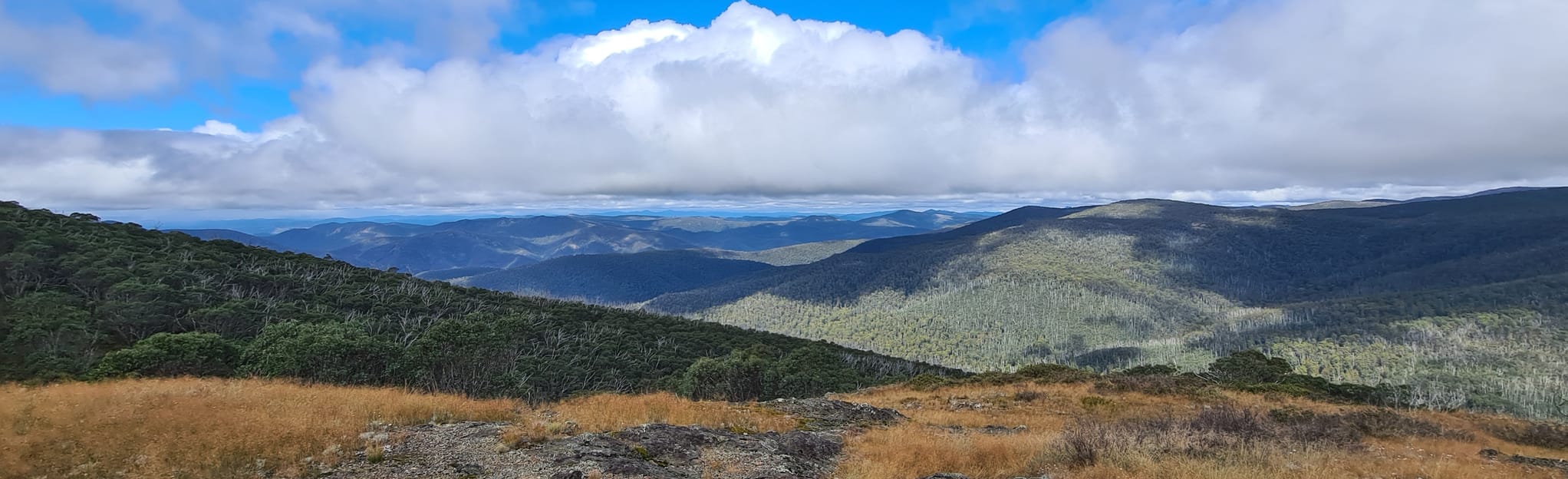 Mount Franklin Summit Track, New South Wales, Australia - 11 Reviews ...