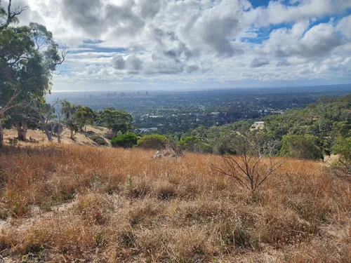 10 Best Hikes and Trails in Belair National Park | AllTrails