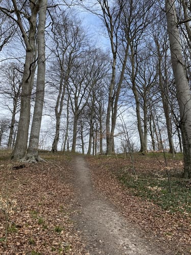 2023 Best trails in Virum | AllTrails