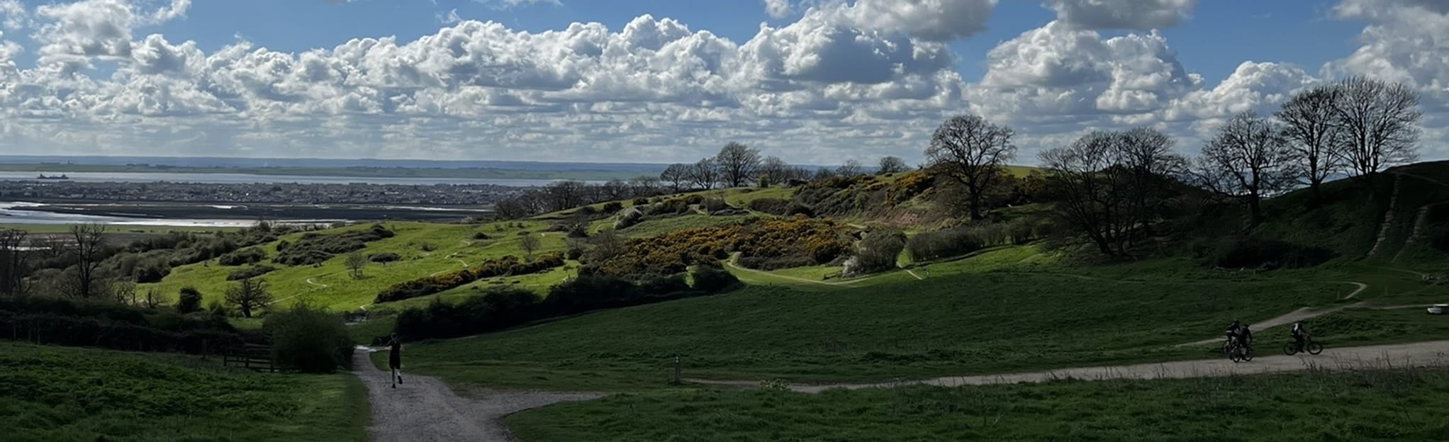 Hadleigh Castle Country Park Circular: 64 foto - Essex, England | AllTrails