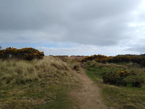 Best Hikes and Trails in Balmedie Country Park | AllTrails
