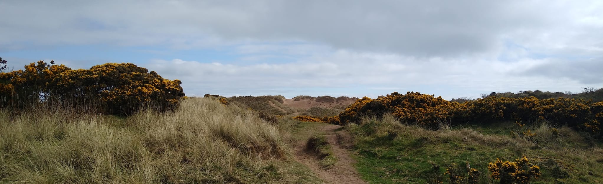 Balmedie Beach, Aberdeen, Scotland - 6 Reviews, Map | AllTrails