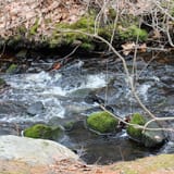 Southern New England Trunkline Trail, Massachusetts - 378 Reviews, Map ...