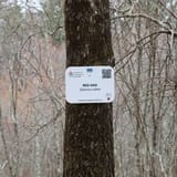 Southern New England Trunkline Trail, Massachusetts - 378 Reviews, Map ...