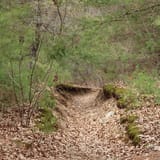 Southern New England Trunkline Trail, Massachusetts - 378 Reviews, Map ...