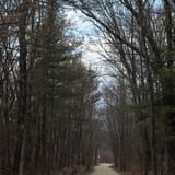 Southern New England Trunkline Trail, Massachusetts - 378 Reviews, Map ...