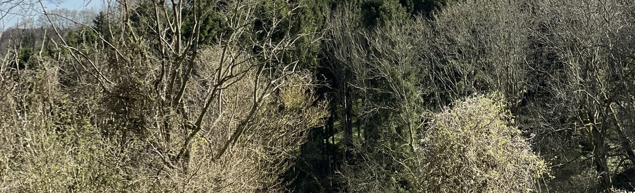 Jack Russell Inn and Faccombe Estate: 192 Reviews, Map - Hampshire ...