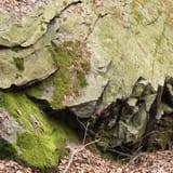 Southern New England Trunkline Trail, Massachusetts - 378 Reviews, Map ...