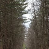 Southern New England Trunkline Trail, Massachusetts - 378 Reviews, Map ...