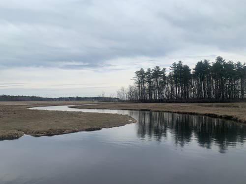 2023 Best Easy Trails in Rachel Carson National Wildlife Refuge | AllTrails