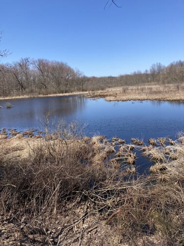 Best Hikes and Trails in Lydick Bog Nature Preserve | AllTrails