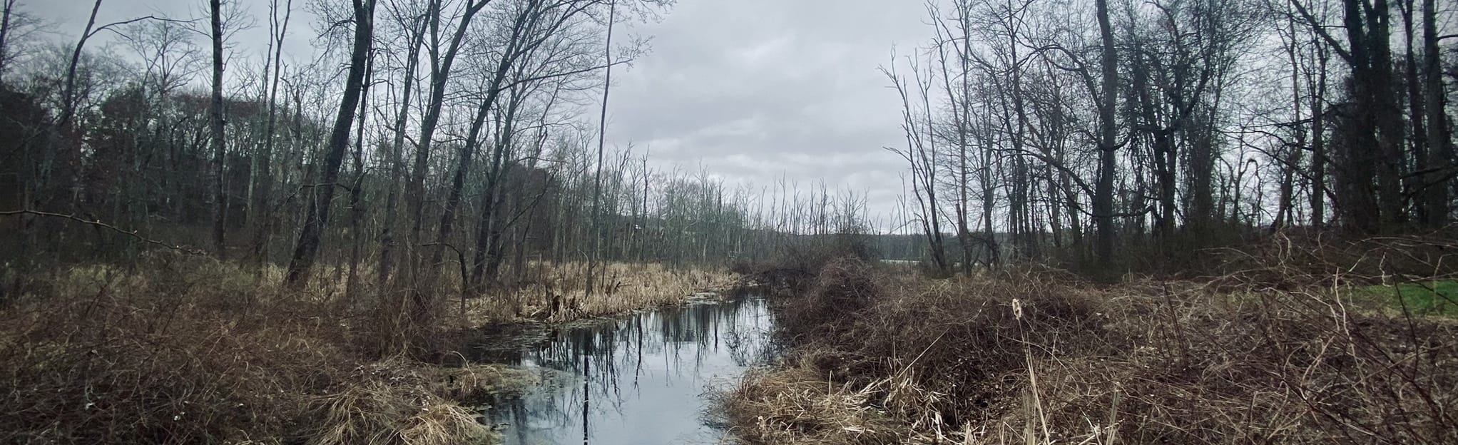 FDR State Park Road Loop, New York - 130 Reviews, Map | AllTrails