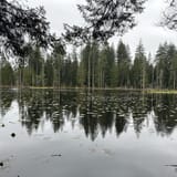 Redmond Ridge Trail, Washington - 72 Reviews, Map | AllTrails