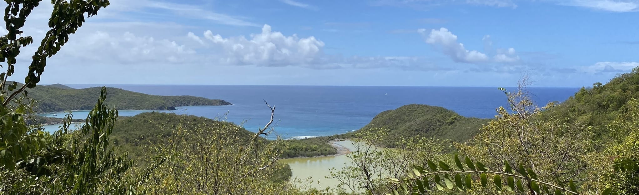 Lameshur Bay and Reef Bay Trail: 504 foto - Saint John, Isole Vergini ...
