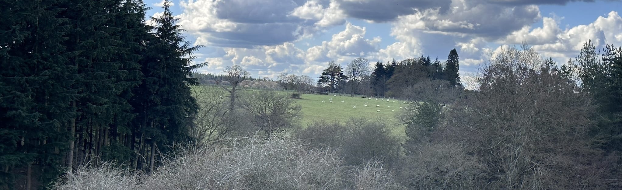 Hosey Common and Tower Wood Circular - Kent, England | AllTrails