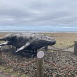 Long Beach Boardwalk and Discovery Trail Loop, Washington - 100 Reviews ...