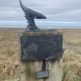 Long Beach Boardwalk and Discovery Trail Loop, Washington - 100 Reviews ...