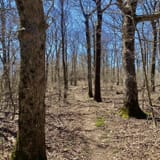Big Frog Mountain Loop, Tennessee - 33 Reviews, Map | AllTrails