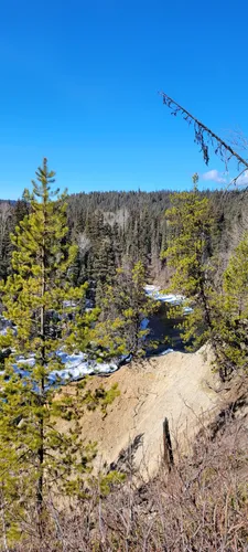 Best Hikes and Trails in Blackwater River Crossing Recreation Site ...