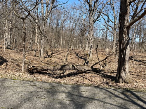 2023 Best Road Biking Trails in Tinley Creek Forest Preserve | AllTrails