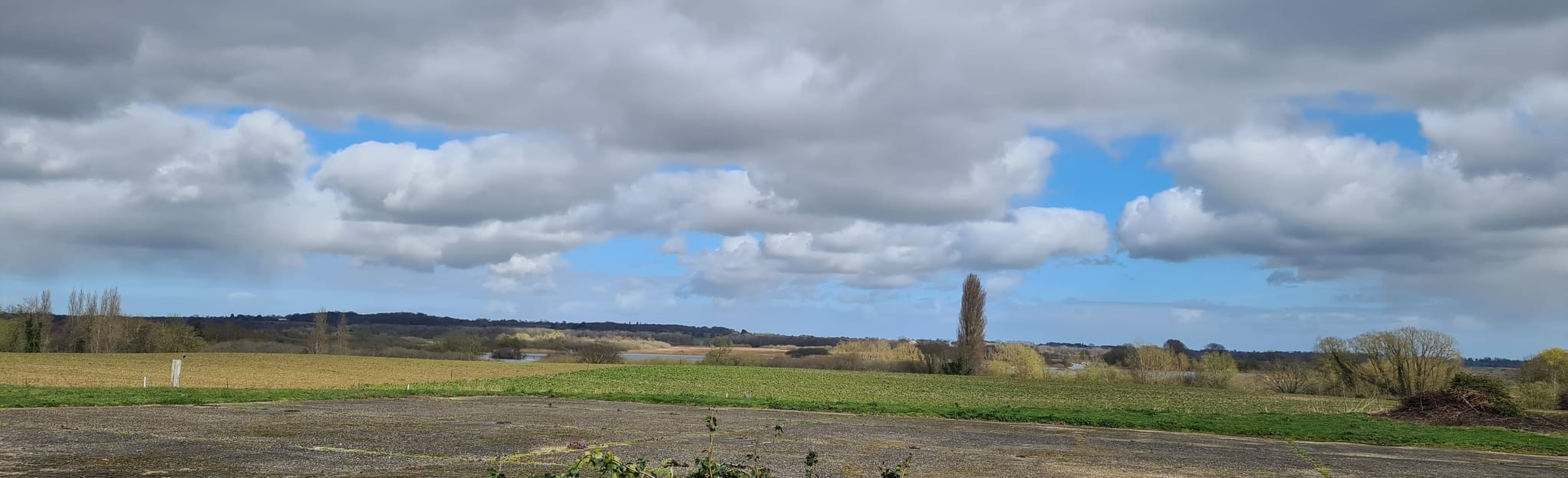 Rockland St Mary Circular, Norfolk, England - 26 Reviews, Map | AllTrails