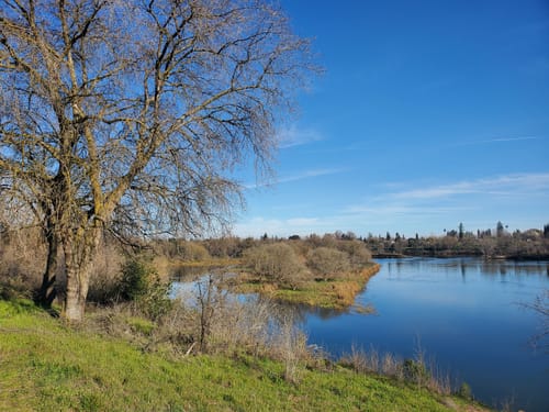 Best Hikes and Trails in William Pond Recreation Area | AllTrails