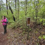 Wild Azalea Trail, Louisiana - 290 Reviews, Map | AllTrails