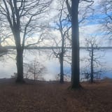 Anglezarke, Lancashire, England - 103 Reviews, Map | AllTrails