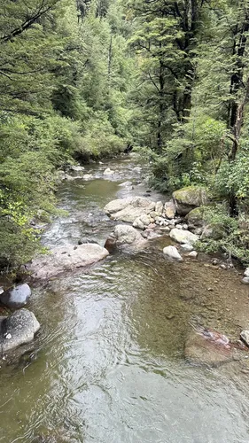 Sharplin Falls Reserve: de beste routes om te wandelen | AllTrails