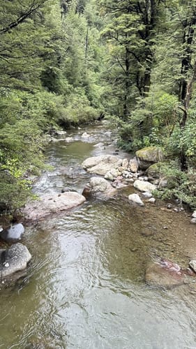 Best Hikes and Trails in Sharplin Falls Reserve | AllTrails