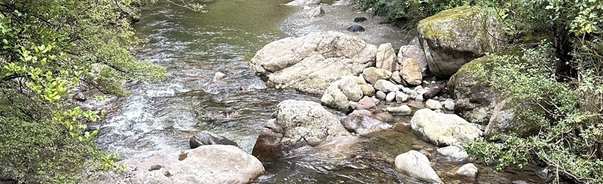 Tāhekerua (Sharplin Falls Track), Canterbury, New Zealand - 17 Reviews ...