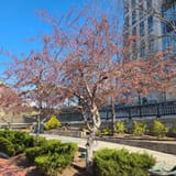 Providence River Walk, Rhode Island - 318 Reviews, Map | AllTrails