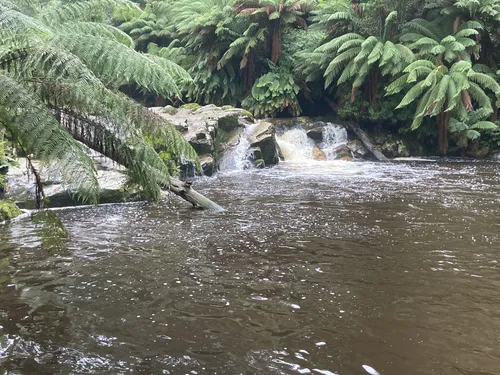 2023 Best Walking Trails in Lottah | AllTrails