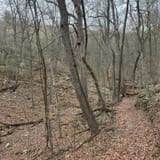 Kennedy Peak Loop, Virginia - 513 Reviews, Map | AllTrails