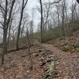 Kennedy Peak Loop, Virginia - 513 Reviews, Map | AllTrails