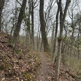 Kennedy Peak Loop, Virginia - 513 Reviews, Map | AllTrails